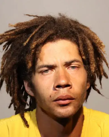 CHRISTOPHER STEVER booked 20240326