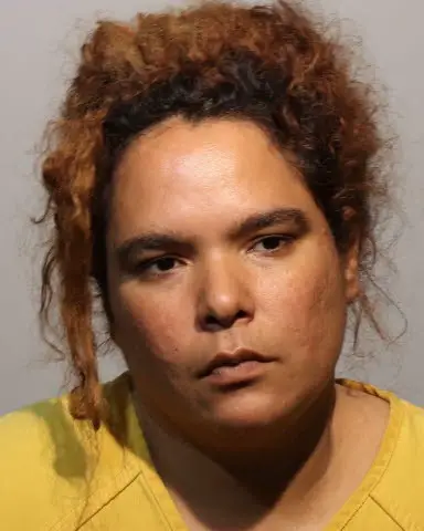 LISA TORRES booked 20240321