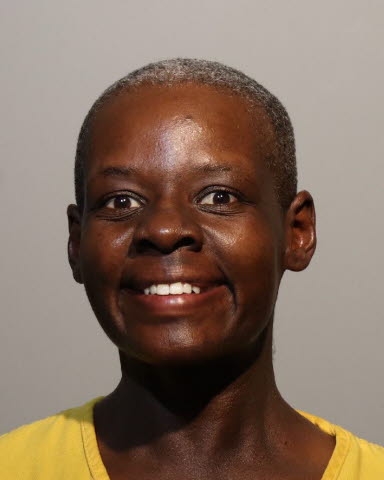 SHELDON FORD booked 20240312