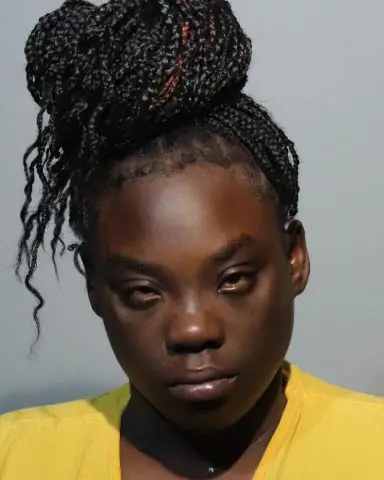 ALLYSON JOHNSON booked 20240420