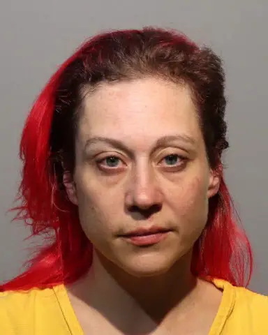 JENNIFER LEWIS booked 20240622