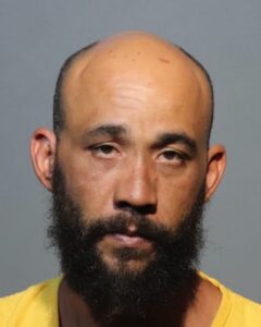 RODNEY GIBSON booked 20240616