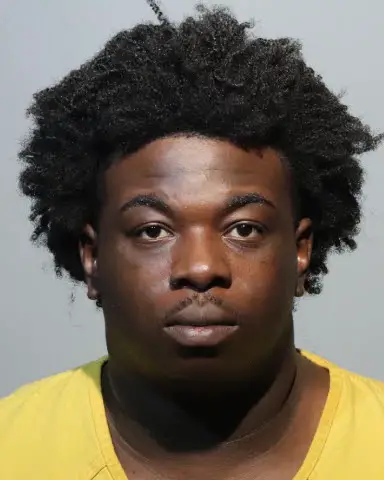 RUFUS LEE booked 20240606