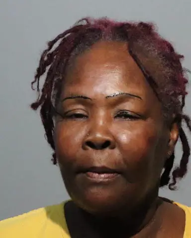 BRENDA BROWN booked 20240701