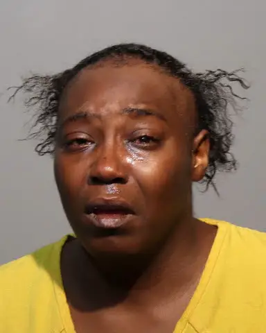 MERCEDES WILLIAMS booked 20240707