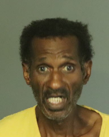 DAVID BASS booked 20240806