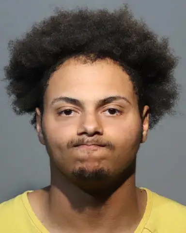 DWAYNE DAVIS booked 20240815