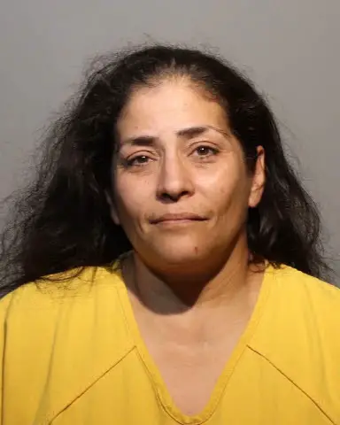 ERIKA MIZE booked 20240830