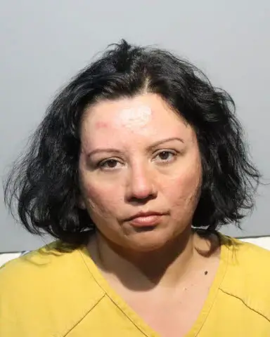 NORVELIA NUNEZ booked 20240923