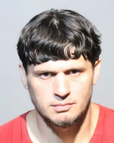 OMAR CASTILLO booked 20240920