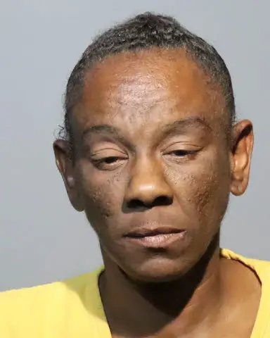 TERESA JONES booked 20240917