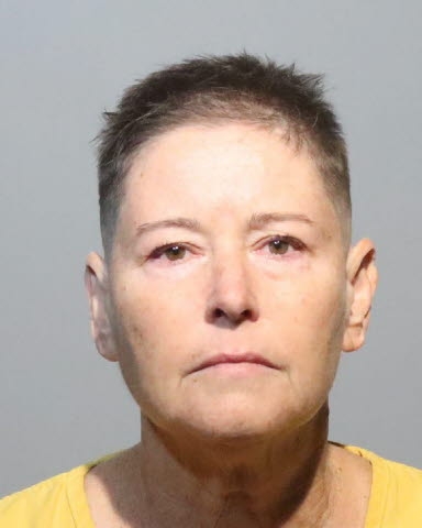 ANN LONG booked 20241011