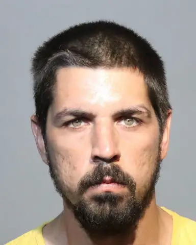 ANTHONY RIZZO booked 20241016