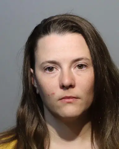 ASHLEY THOMPSON booked 20241030