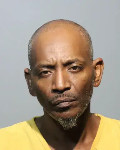 CHRISTOPHER HAMILTON booked 20241026