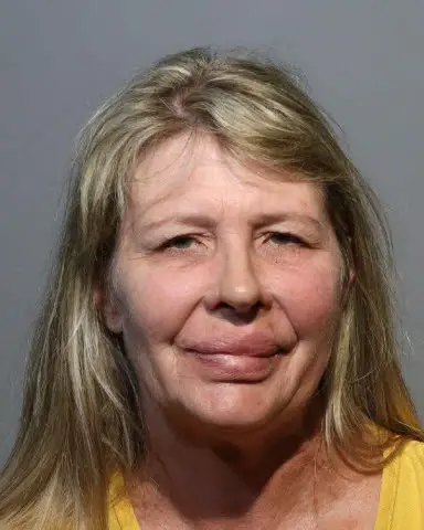 CYNTHIA WORKMAN booked 20241029