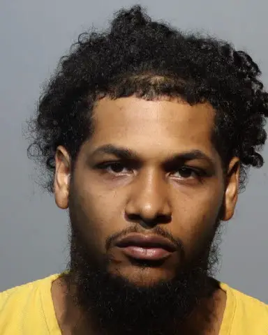 KENDRICK ANDERSON booked 20241009