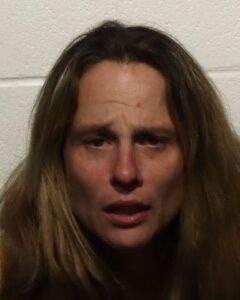 KRISTIN BELL booked 20241029