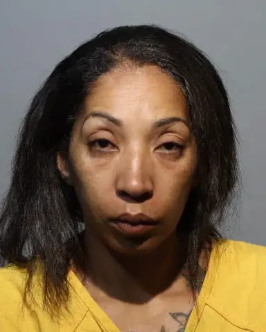 MARIA FERNANDES booked 20241019