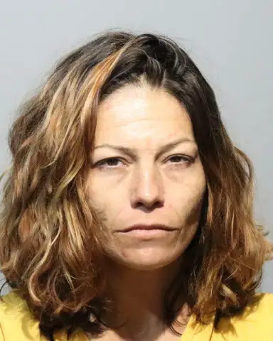 PATRICIA ASHWORTH booked 20241002