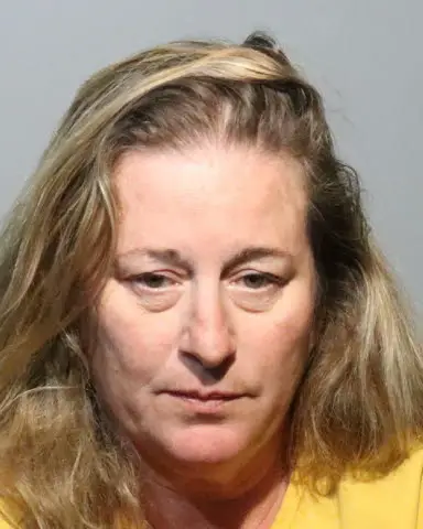 SHERI DENSMORE booked 20241022