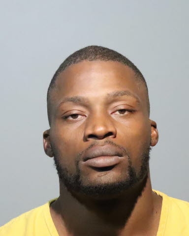 TERYL WILLIAMS booked 20241012