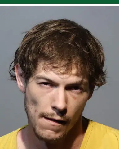 THOMAS ADAM booked 20241009