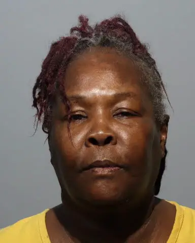 BRENDA BROWN booked 20241112