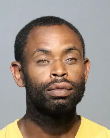 DONOVAN JOHNSON booked 20241110