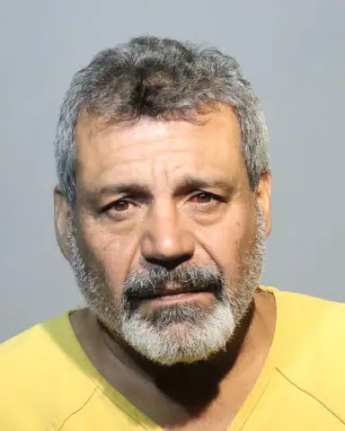 EDWIN PELLOT booked 20241114