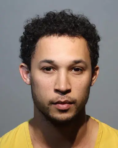 MICHAEL HOLLEY booked 20241129