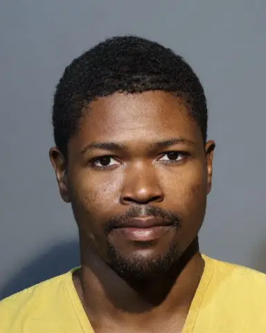 NICHOLAS RICHARDS booked 20241121