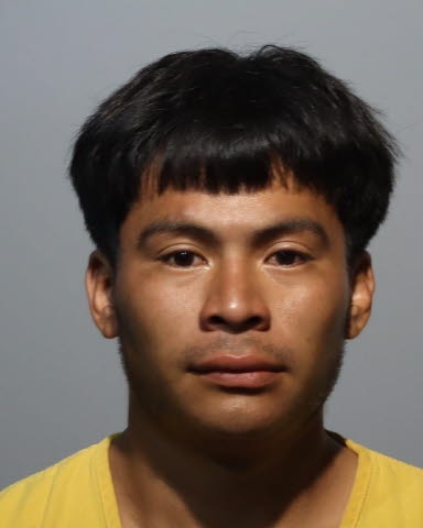 YONY PEREZ booked 20241104