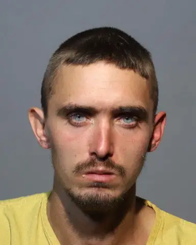 ANDREW GOAD booked 20241228