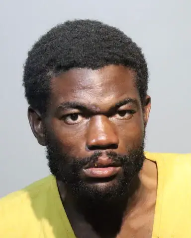 ANTHONY ROWE booked 20241222