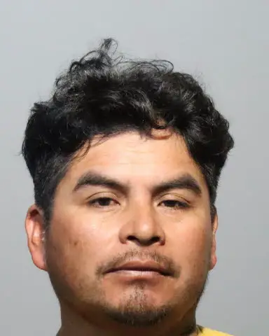 CESAR LOPEZ booked 20241211