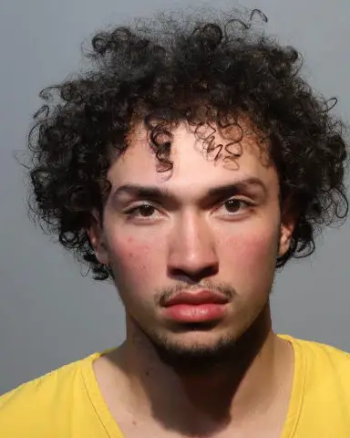 DYLAN GUZMAN booked 20241204