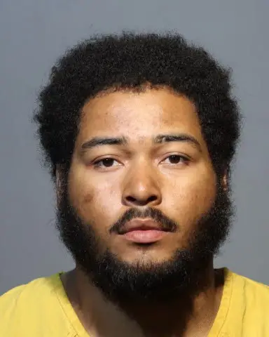 JAYLON NELSON booked 20241204