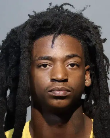 JEFFREY TELSON booked 20241225