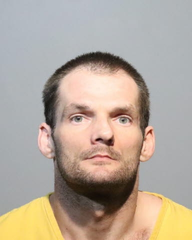 MARK GREGORSKI booked 20241206