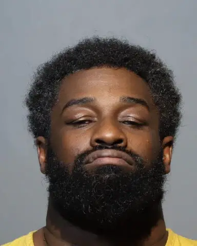 MICHAEL LEWIS booked 20241210