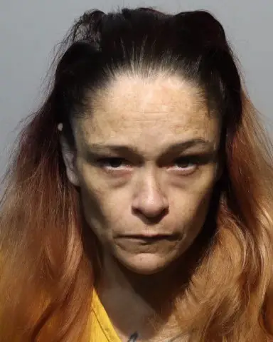 NICOLE WHITE booked 20241228