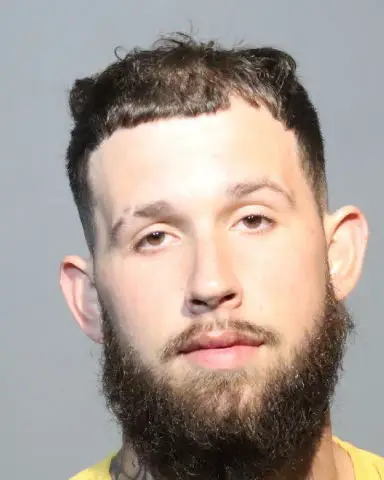 ROBERT LANG booked 20241206