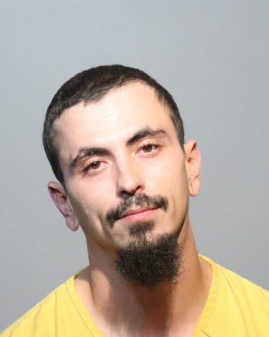 ANTHONY KLEIN booked 20250114