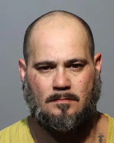 ANTHONY MCSHANE booked 20250120