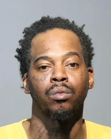 GREGORY ANDERSON booked 20250109