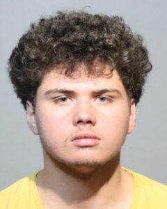 IAN VALENTIN booked 20250128