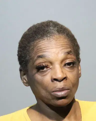 JEANETTE BURGESS booked 20250127