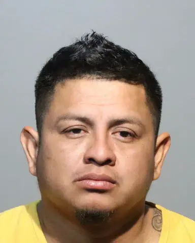 PEDRO CRUZ booked 20250106