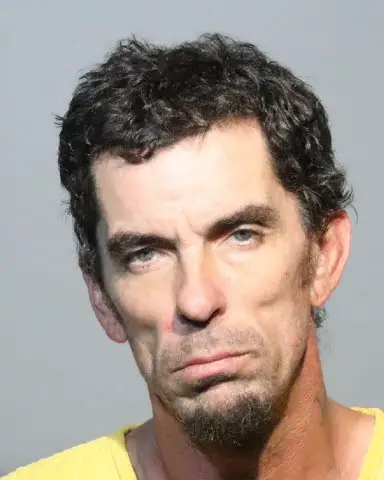 BRYAN HARRIS booked 20250211